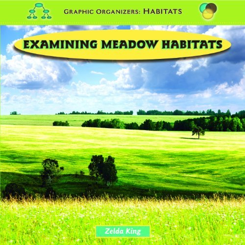 Examining Meadow Habitats - Opracowanie zbiorowe | Książka w Empik