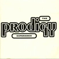 Experience - The Prodigy | Muzyka Sklep EMPIK.COM