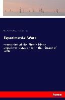 Experimental Work - Flagg Charles O. | Książka w Empik
