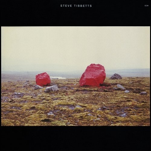 Exploded View - Steve Tibbetts | Muzyka, mp3 Sklep EMPIK.COM