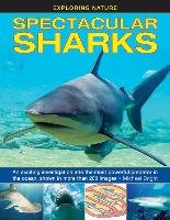 Exploring Nature: Spectacular Sharks - Bright Michael | Książka w Empik