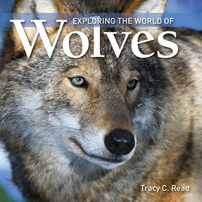 Exploring the World of Wolves - Read Tracy C. | Książka w Empik