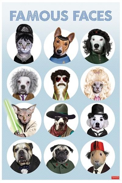 FAMOUS FACES plakat 61x91cm - Pyramid | Sklep EMPIK.COM