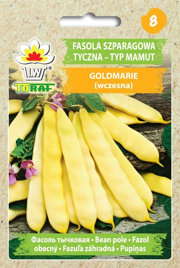 Fasola szp. tyczna, żółtostr. GOLDMARIE (Typ Mamut - wczesna) Phaseolus ...