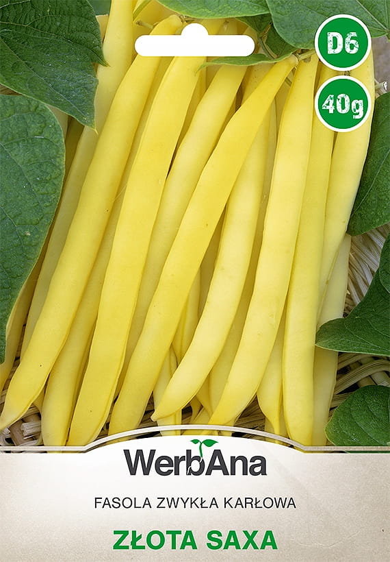 Fasola Zlota Saxa karłowa wczesna 40g nasiona - WegAna - WegAna | Sklep ...
