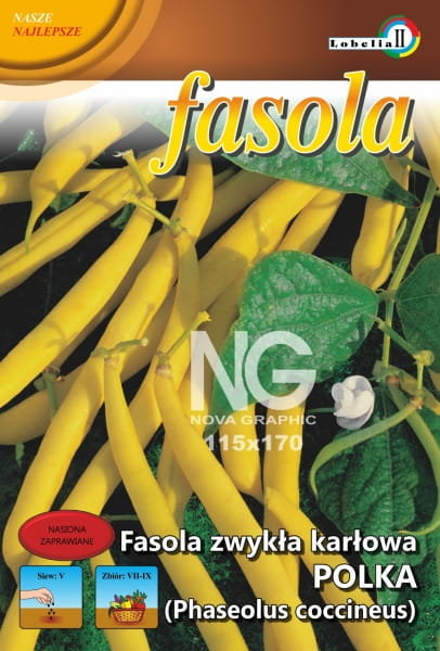 Fasola żółta karłowa Polka 20g / L / - inna (Inny) | Sklep EMPIK.COM