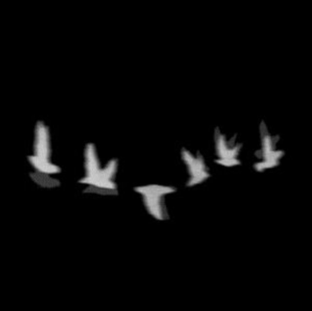 Feeling U, Feeling Me (Jan Kincl Versions) - CVER | Muzyka Sklep EMPIK.COM