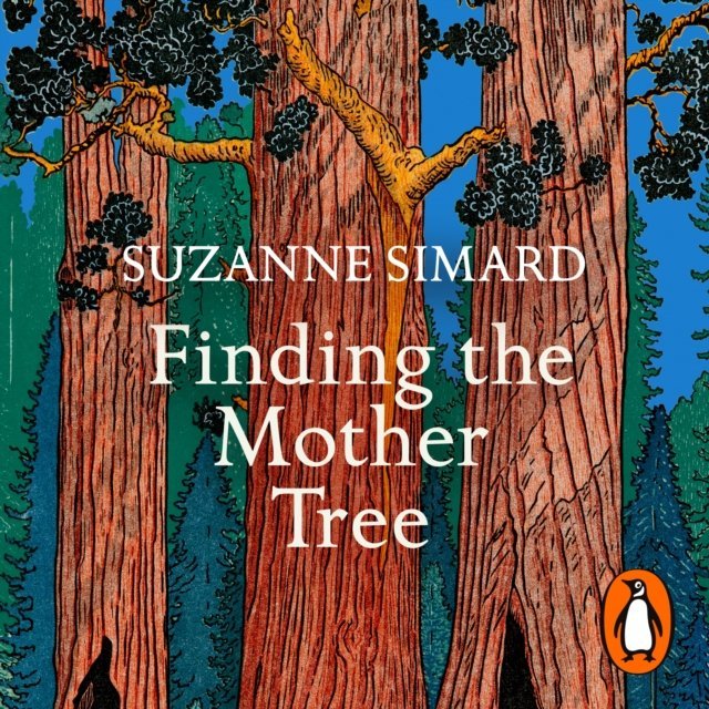 Finding the Mother Tree - audiobook - Simard Suzanne | Audiobook Sklep ...
