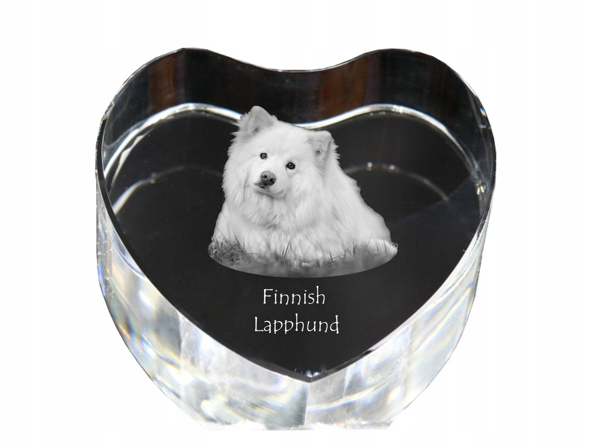 Fiński lapphund, Finnish Lapphund - zdjęcie psa w krysztale ...