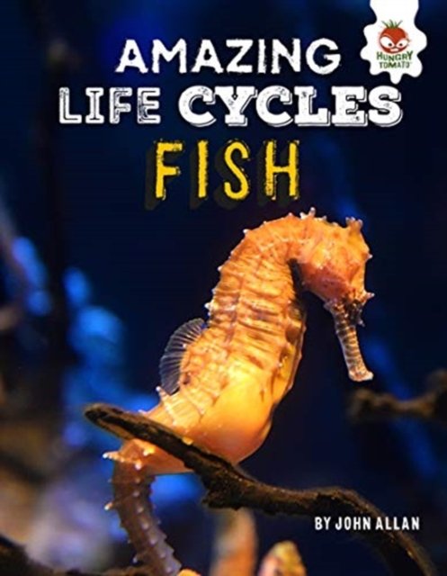 Fish - Amazing Life Cycles - John Allan | Książka w Empik