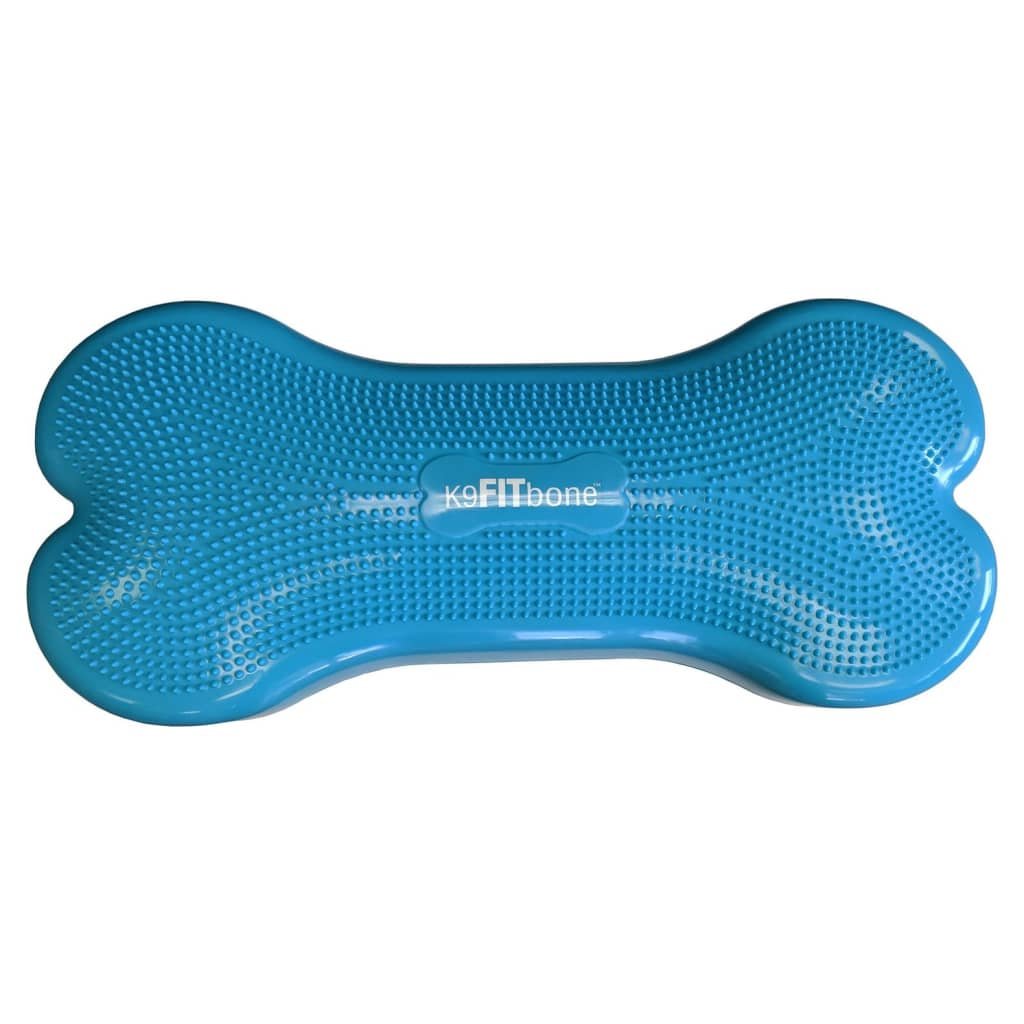 FitPAWS Platforma równoważna dla zwierząt Giant K9FITbone, PVC, aqua ...