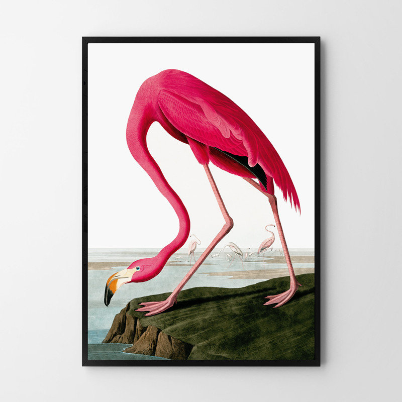 Flaming Vintage Płótno 50x70cm - Hog Studio | Sklep EMPIK.COM