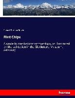 Flint Chips - Stevens Edward Thomas | Książka w Empik
