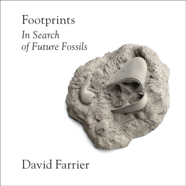 Footprints - audiobook - Farrier David | Audiobook Sklep EMPIK.COM