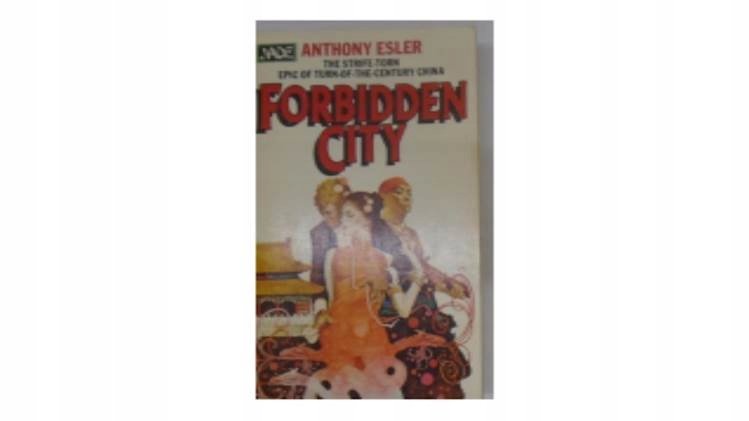 Forbidden city - Annette Magnusson | Książka w Empik