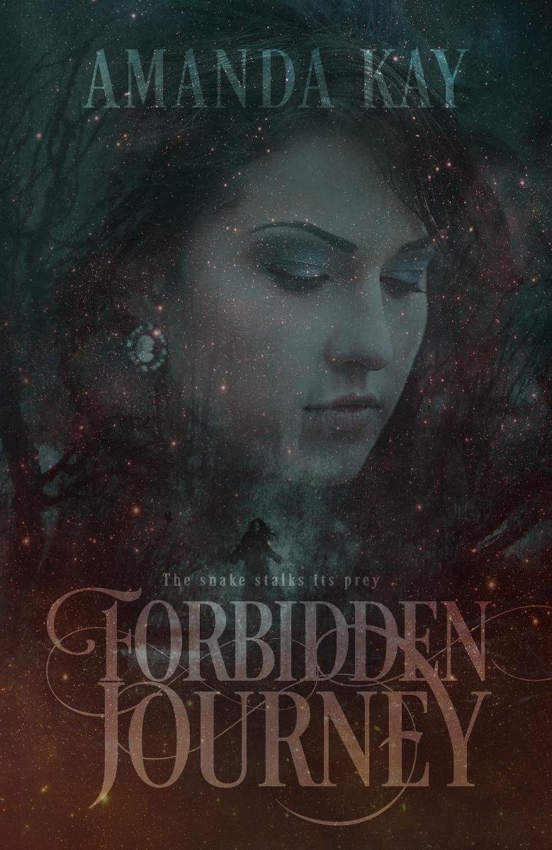 Forbidden Journey - ebook epub - Amanda Kay | Ebook Sklep EMPIK.COM