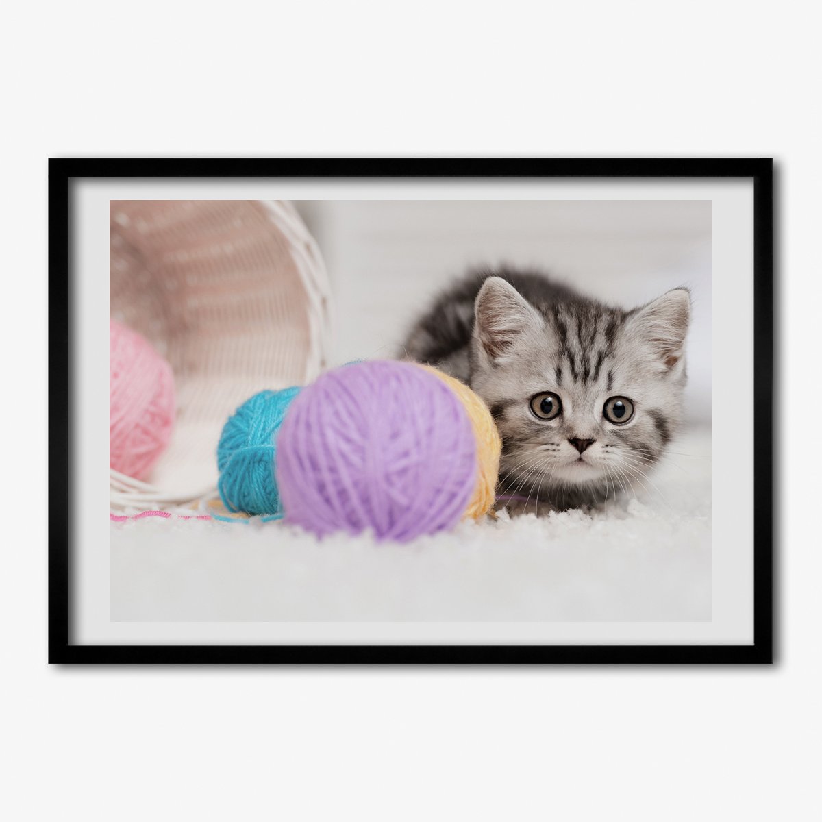 Fotoobraz na ścianę do salonu TULUP Kot z motkami 70x50 cm - Tulup ...