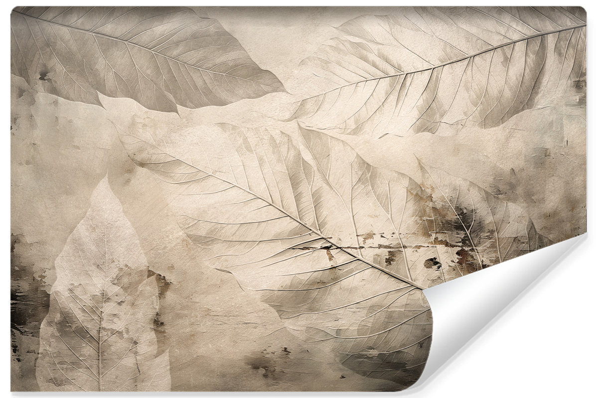 Fototapeta Do Jadalni Abstrakcja LIŚCIE Rośliny Beton Mur 90cm x 60cm - Muralo | Sklep EMPIK.COM