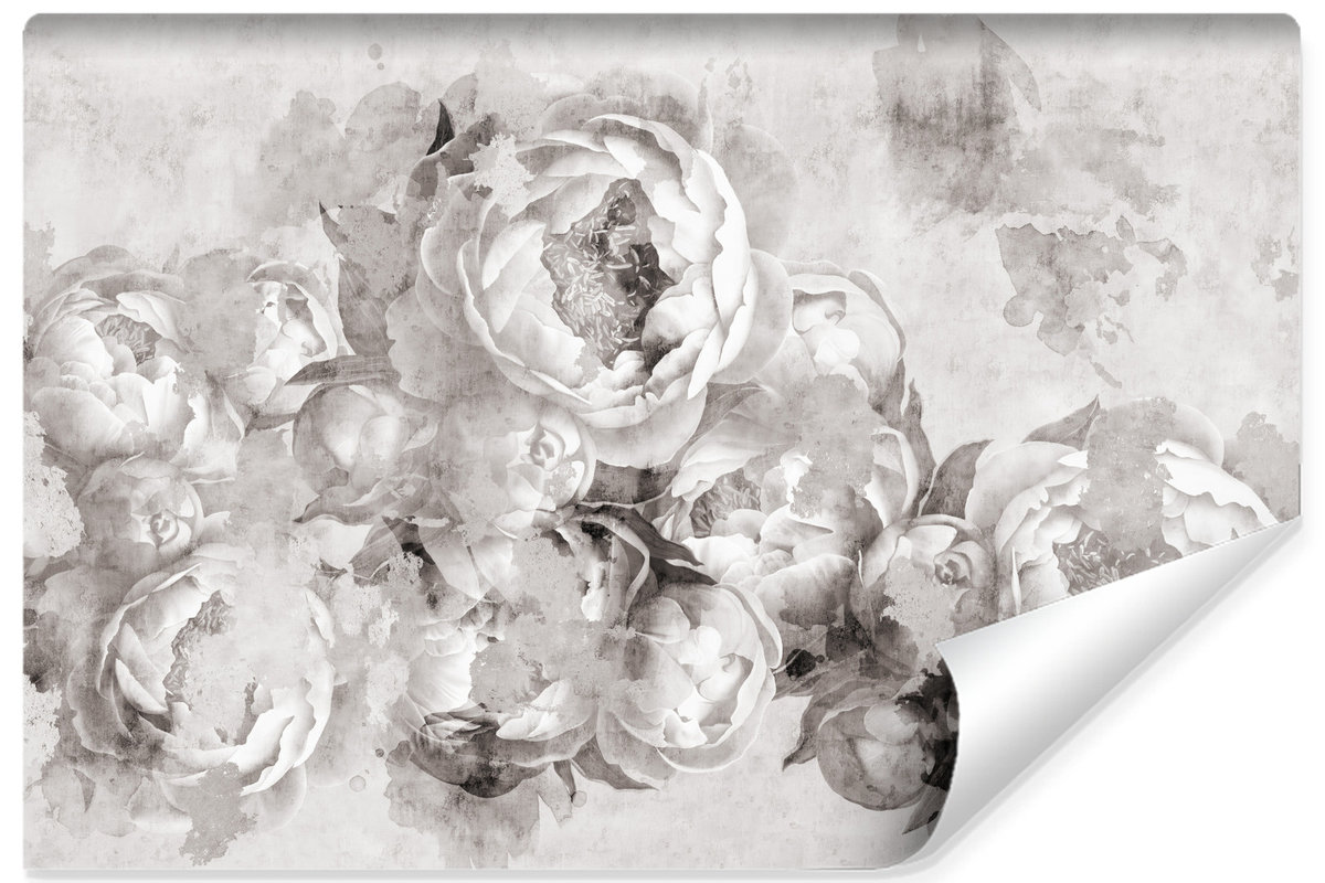 Fototapeta Do Jadalni BETON Piwonie Peonie Kwiaty Abstrakcja Mural 180cm x 120cm - Muralo ...