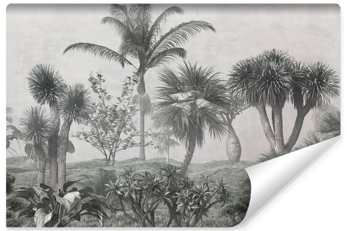 Fototapeta Do Jadalni Tropikalne Drzewa Las Rośliny Natura Beton 300cm X 210cm - Muralo | Sklep ...