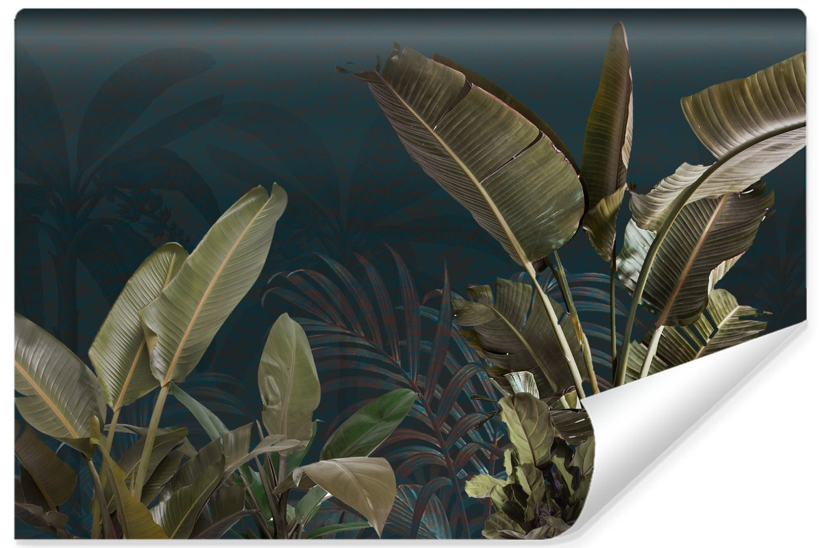 Fototapeta Do Jadalni Tropikalne Liście Bananowca Dżungla Natura 270cm X 180cm - Muralo | Sklep ...
