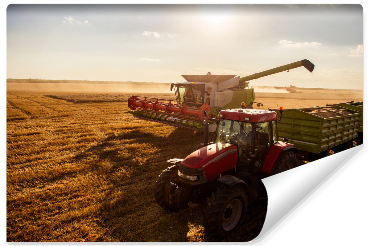 Fototapeta Do Pokoju Chłopca MASZYNY Rolnicze Pole Efekt 3D 90cm x 60cm ...