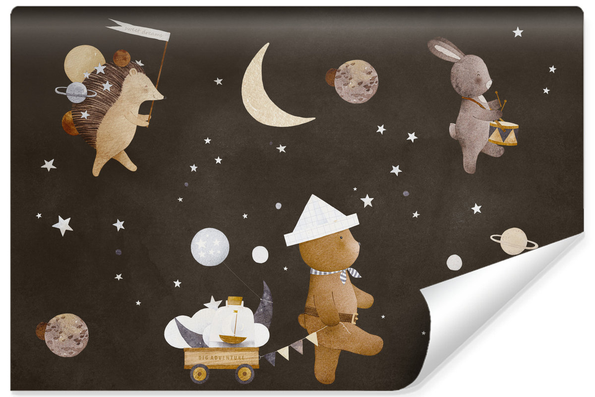 Fototapeta Do Pokoju Dziecka Kosmos Gwiazdy Zwierzęta Boho Planety 270cm X 180cm - Muralo ...