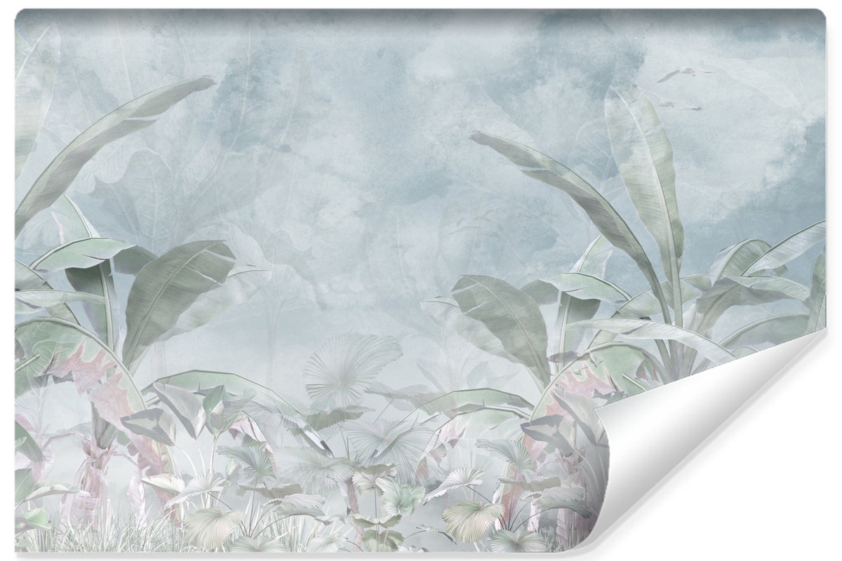 Fototapeta Do Salonu Las Tropikalny Liście Bananowe Natura Mur Beton ...