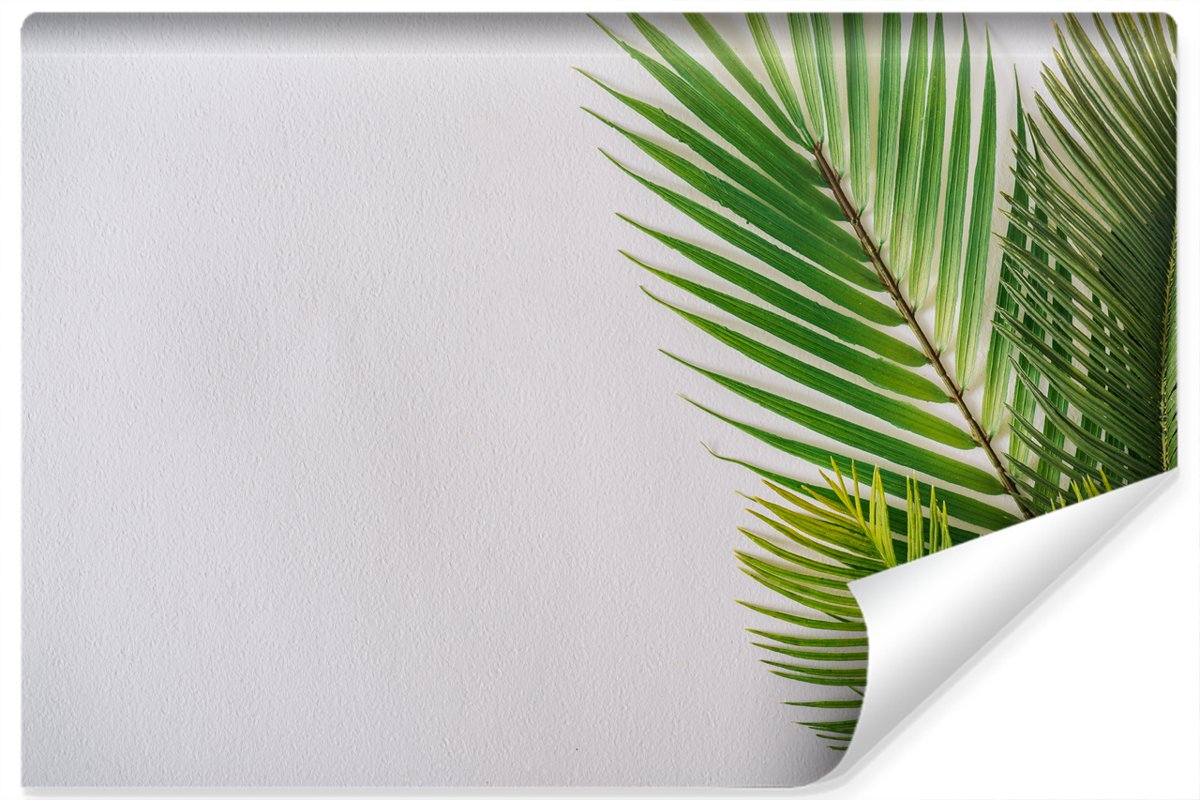 Fototapeta Do Salonu LIŚCIE Palmowe Beton Abstrakcja 180cm x 120cm - Muralo | Sklep EMPIK.COM