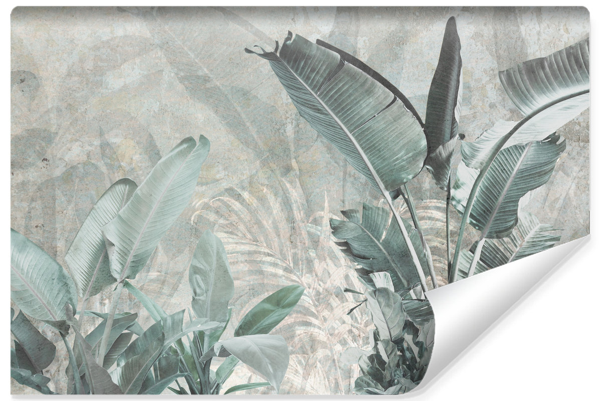 Fototapeta Do Salonu Liście Tropikalne Bananowce Beton Mural 405cm X 270cm - Muralo | Sklep ...