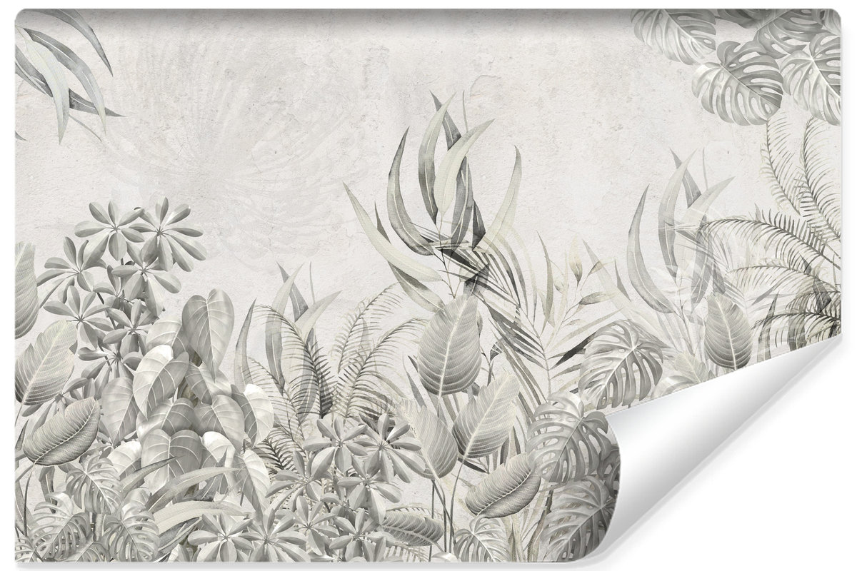 Fototapeta Do Salonu Liście Tropikalne Rośliny Beton Mur Abstrakcja 270cm X 180cm - Muralo ...