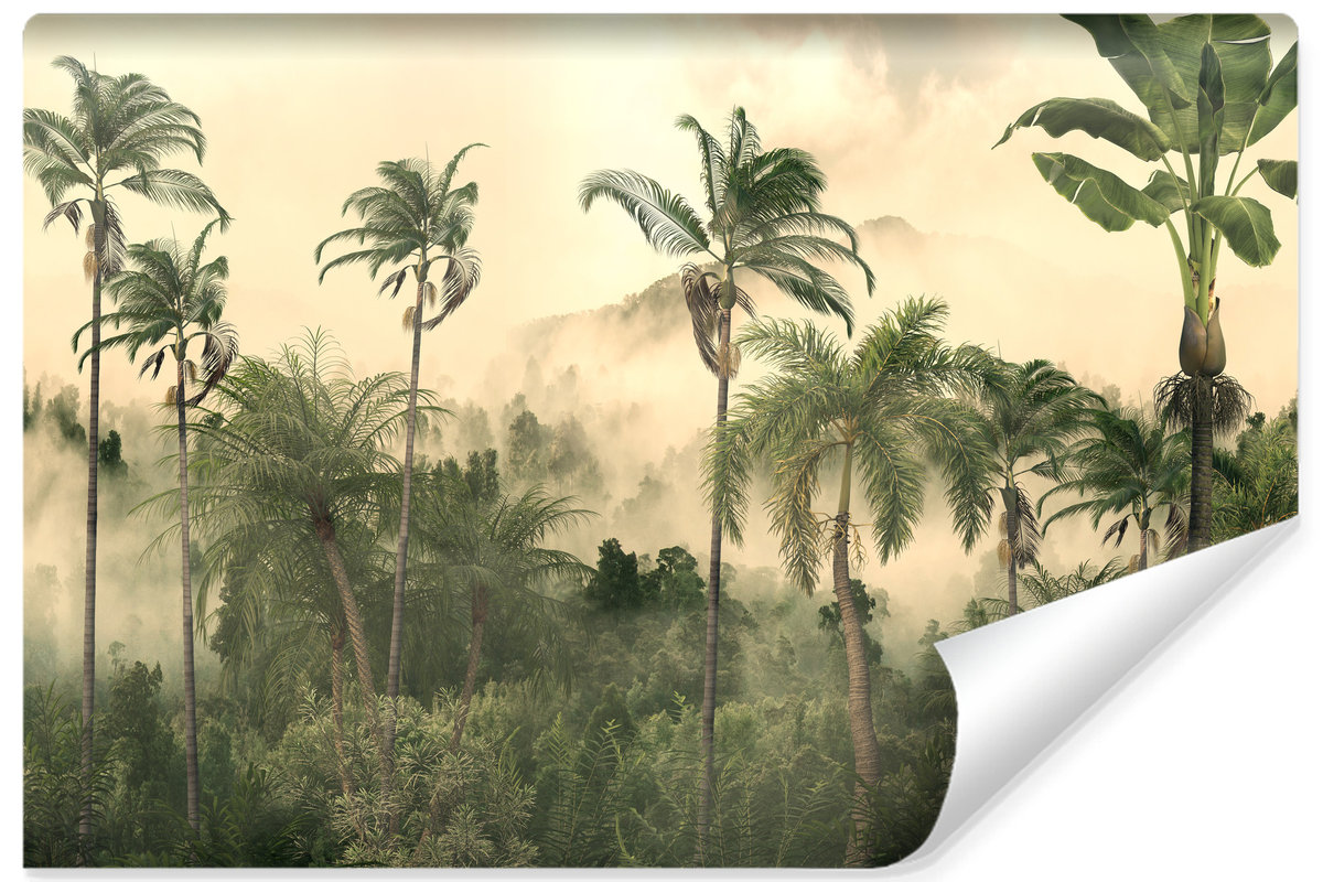 Fototapeta Do Salonu Pejzaż Tropikalny Las We Mgle Zachód Słońca 315cm X 210cm - Muralo | Sklep ...