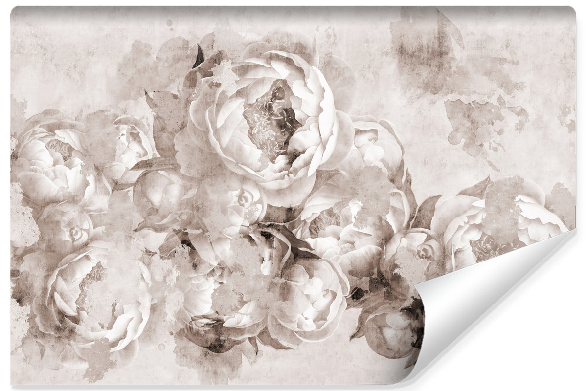 Fototapeta Do Salonu Peonie Piwonie Kwiaty Beton Abstrakcja Vintage 315cm X 210cm - Muralo ...