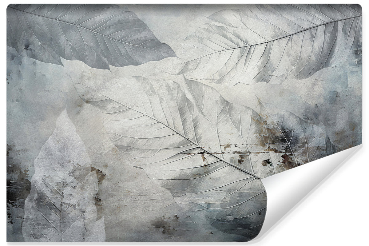 Fototapeta Do Salonu Sypialni Liście Beton Mural Abstrakcja Tapeta 405cm X 270cm - Muralo ...