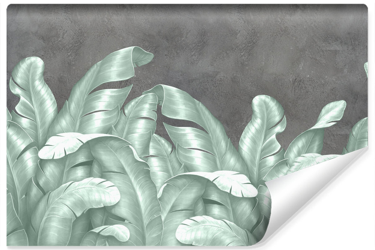 Fototapeta Do Salonu Tropikalne Liście Bananowca Beton Abstrakcja 315cm X 210cm - Muralo | Sklep ...