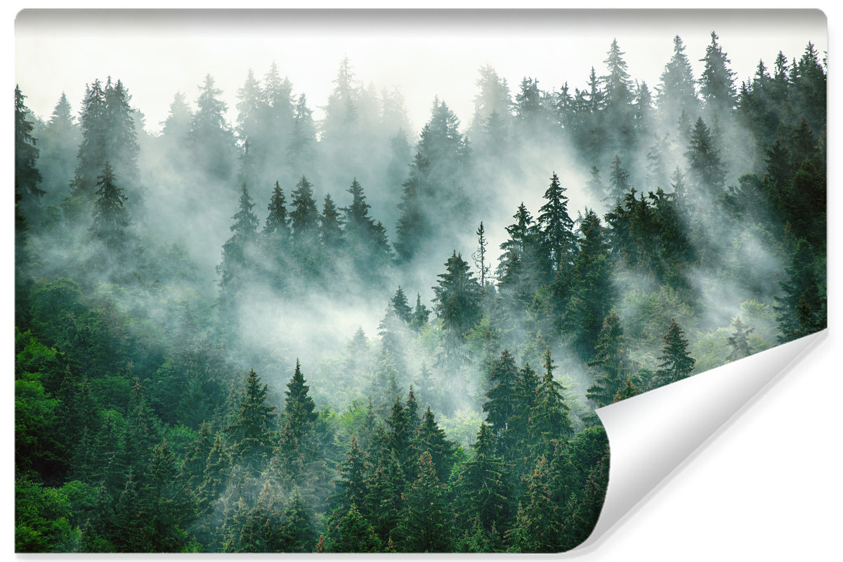 Fototapeta Do Sypialni Las We Mgle Pejzaż Efekt 3D Natura Drzewa 270cm ...
