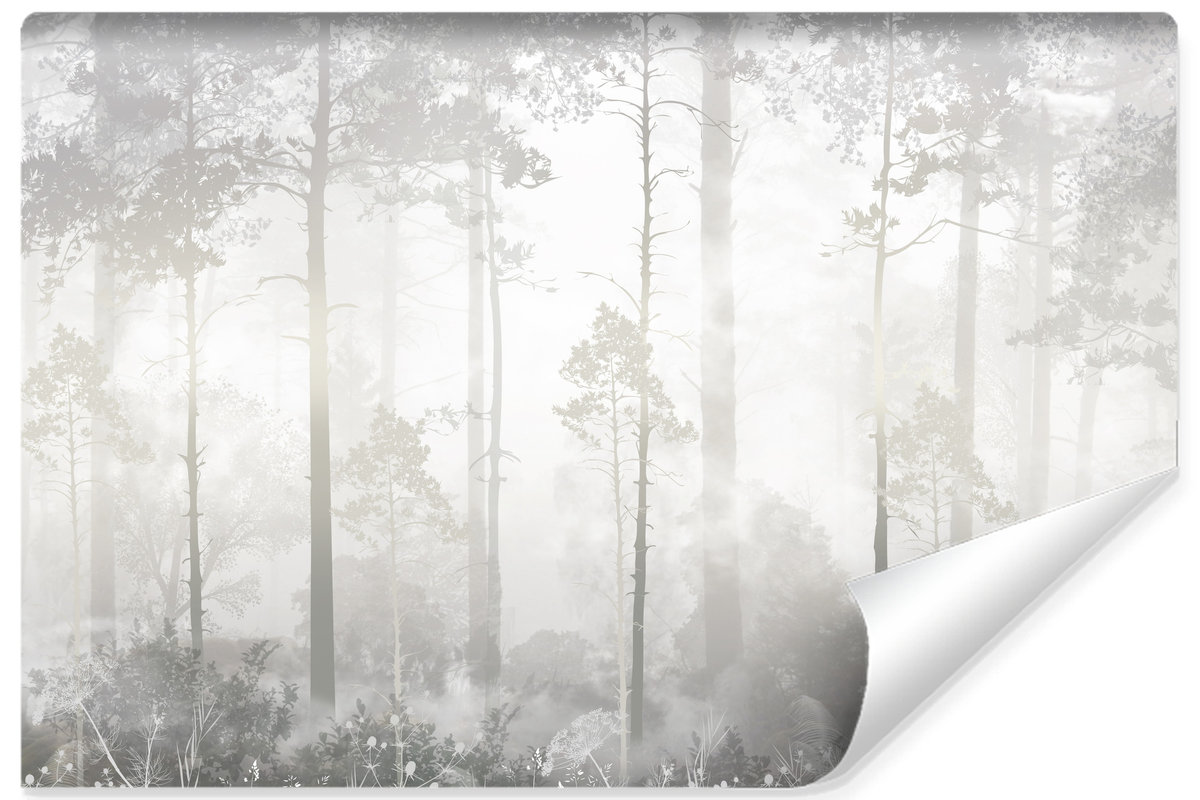 Fototapeta Do Sypialni Mglisty Las Pejzaż Natura Drzewa Abstrakcja ...