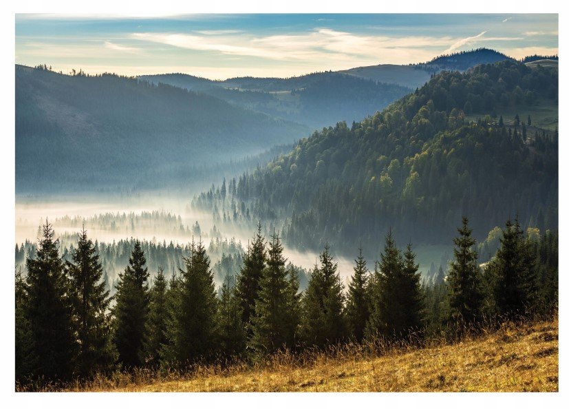Fototapeta GÓRY WE MGLE Las Krajobraz Sypialnia 416x254 - Wallarena ...