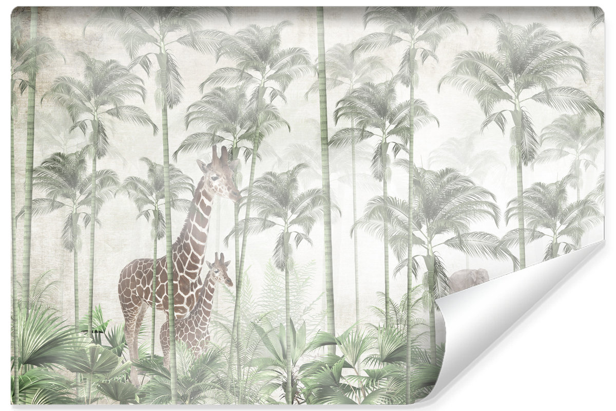 Fototapeta Las Tropikalny We Mgle Dzikie Zwierzęta Pejzaż Natura 300cm X 210cm - Muralo | Sklep ...