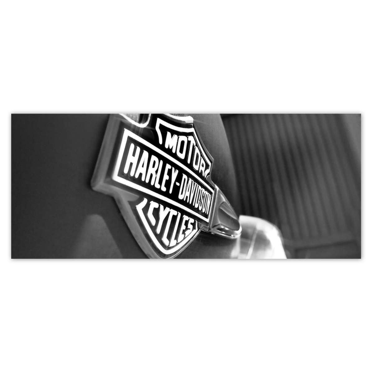 Fototapeta Logo Harley Davidson, 250x104cm - ZeSmakiem | Sklep EMPIK.COM