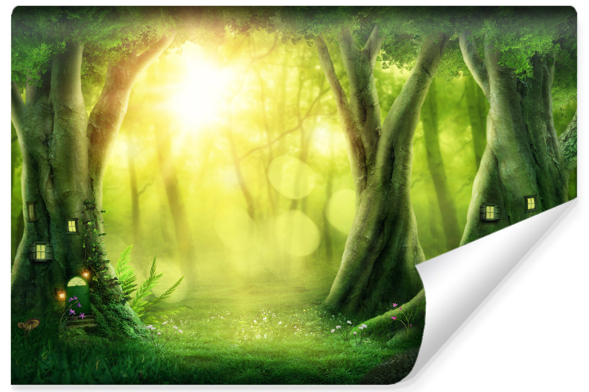 Fototapeta Magiczny Las Drzewa Pejzaż 3D 360cm X 240cm - Muralo | Sklep ...