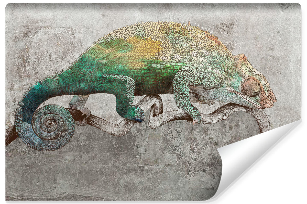 Fototapeta Ścienna Do Jadalni Abstrakcja Kameleon Beton Mural 360cm X 240cm - Muralo | Sklep ...