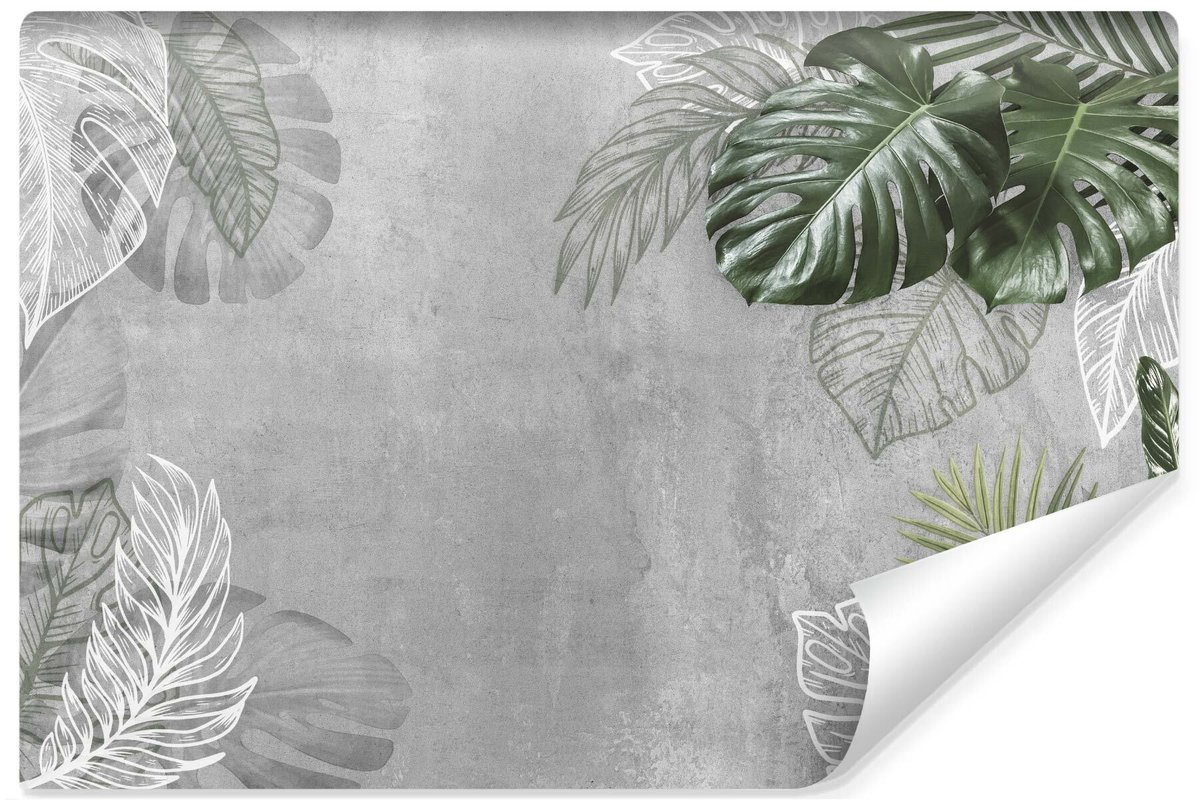 Fototapeta Ścienna Do Jadalni Liście Egzotyczne Beton Ozdoba 270cm X 180cm - Muralo | Sklep ...