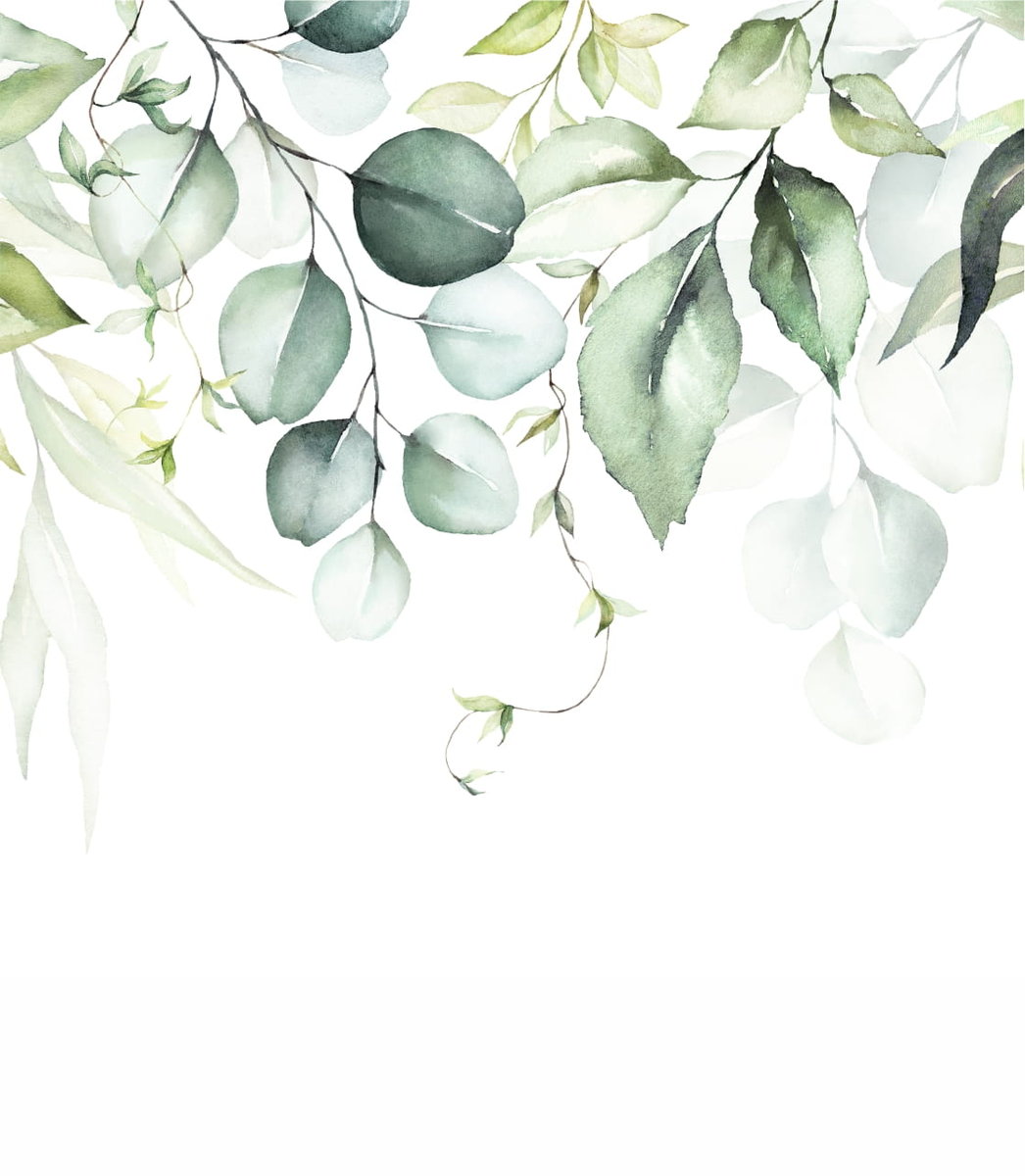 Fototapeta zwisające liście, tapeta papierowa, bryt 50x280 cm - Fotobloki&decor | Sklep EMPIK.COM