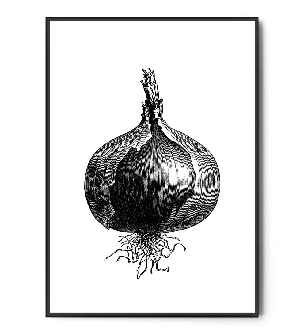 Fox Art Studio, Plakat Cebula, wymiary 29,7x42 cm - FOX ART STUDIO ...