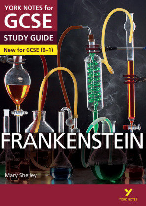 Frankenstein STUDY GUIDE: York Notes for GCSE (9-1): - everything you ...