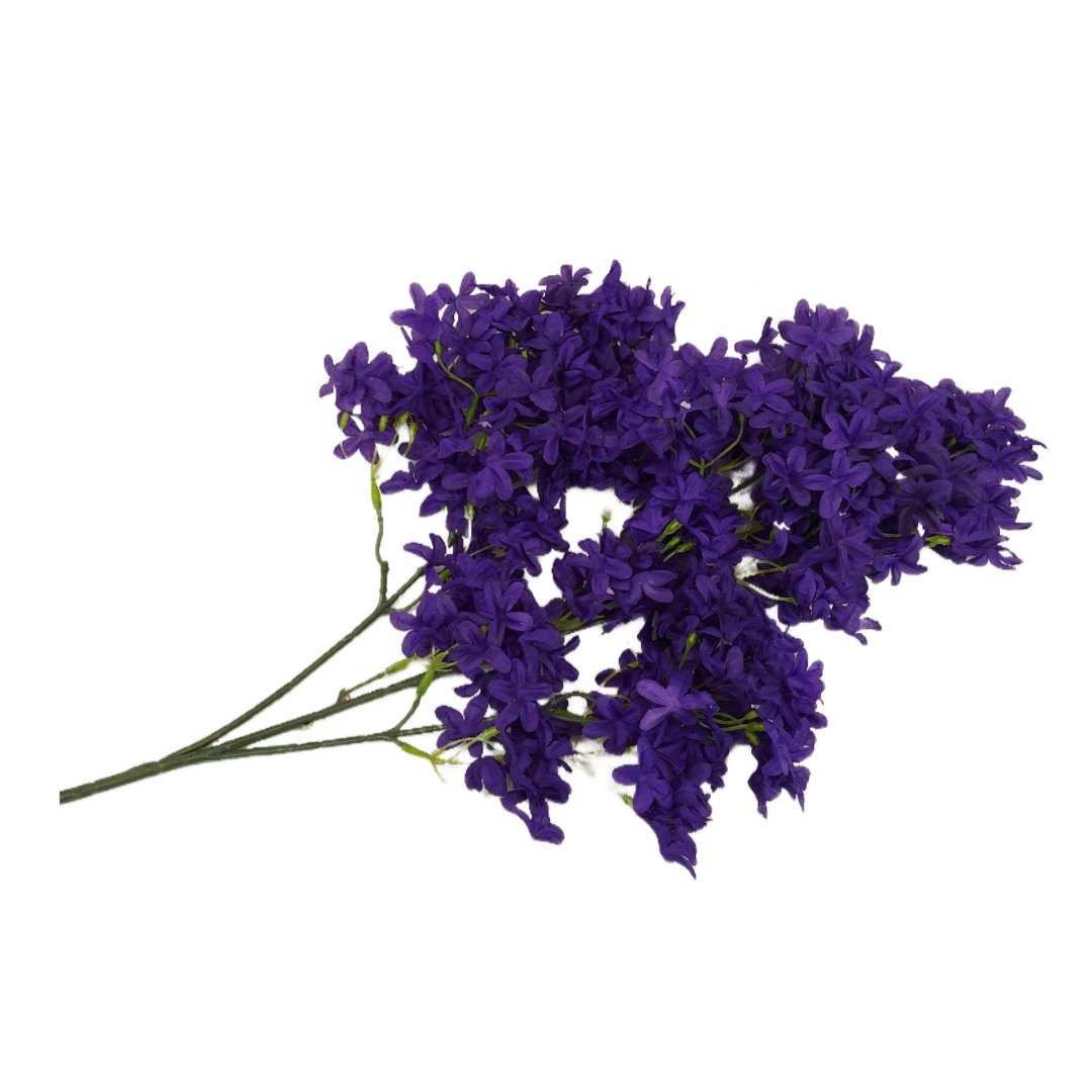 Gałążka bez dk violet - Inna marka | Sklep EMPIK.COM