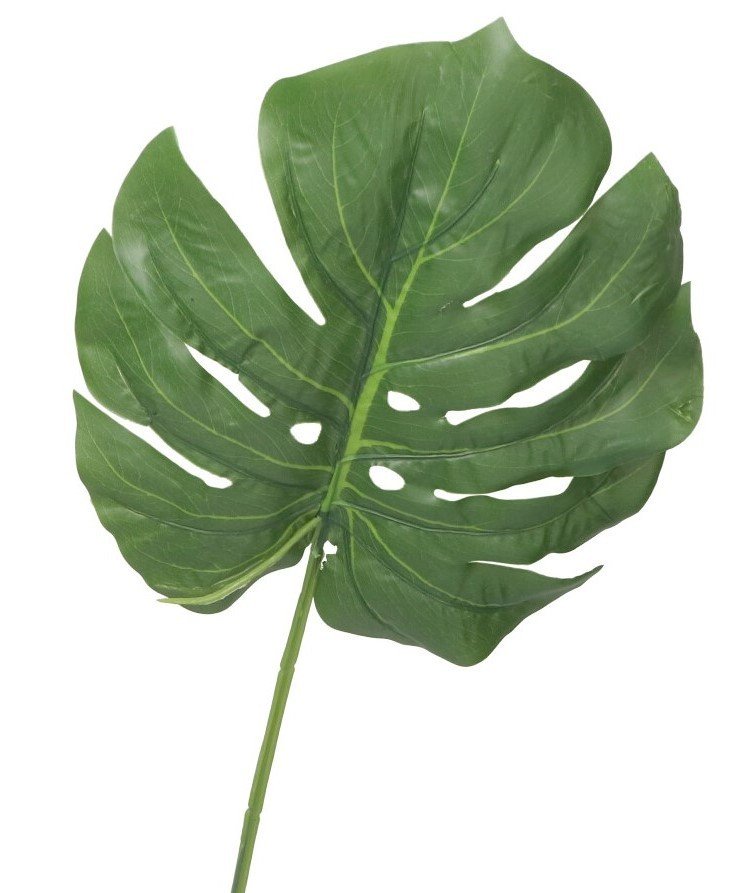 Gałązka Monstera Duża Kwiaty Sztuczne Jak Żywe 66 Cm - Deko Art | Sklep ...