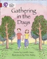 Gathering in the Days - Owen Gareth | Książka w Empik