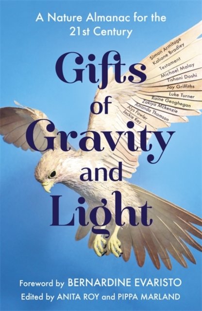 Gifts of Gravity and Light - Anita Roy | Książka w Empik